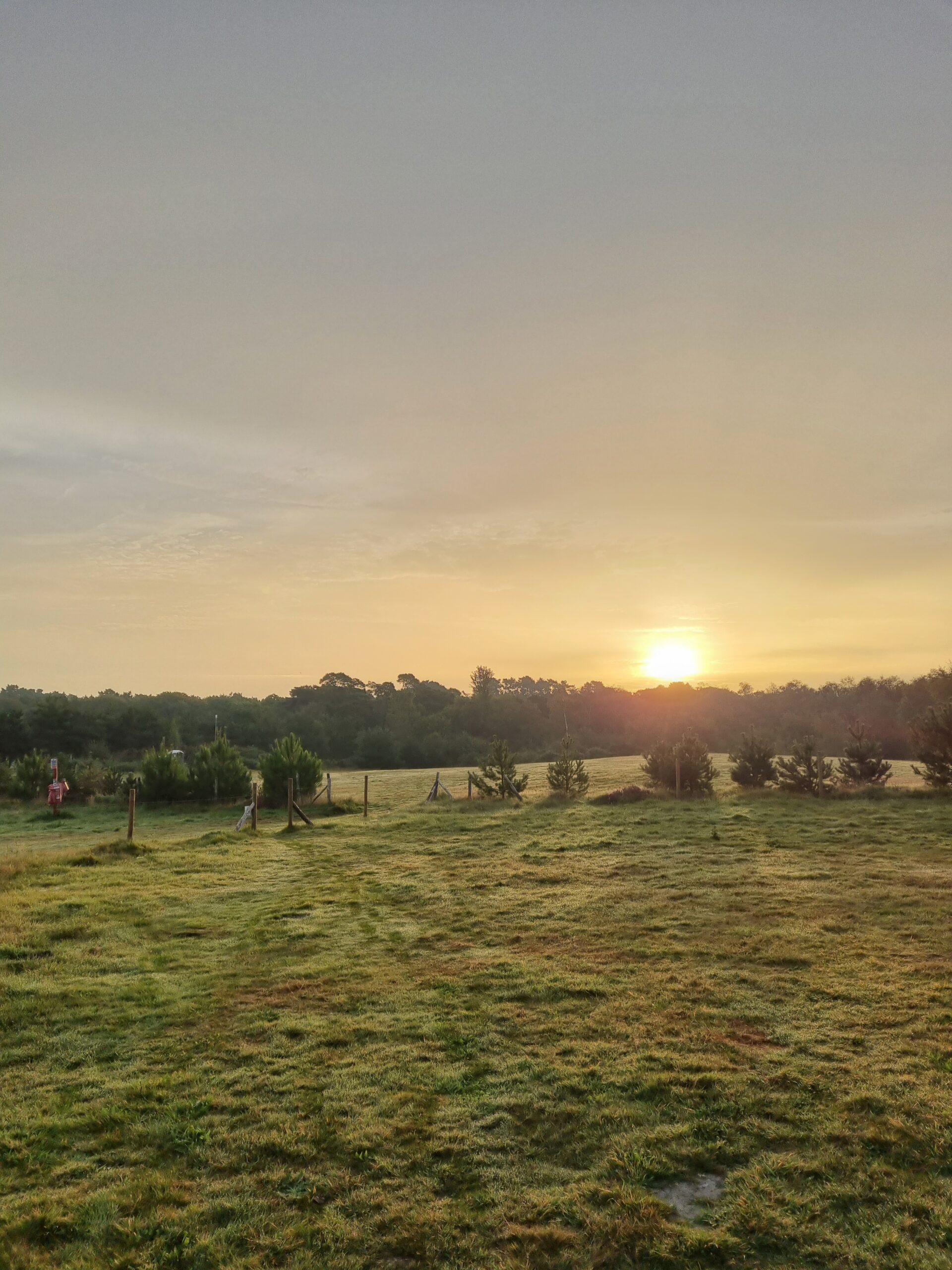 Comms Unplugged - Frazzled, fed up, fancying a change of scene? The field of dreams awaits